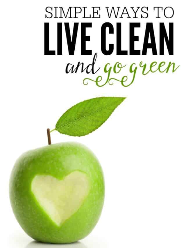 How to Live Clean and Go Green - Happy Organized Life