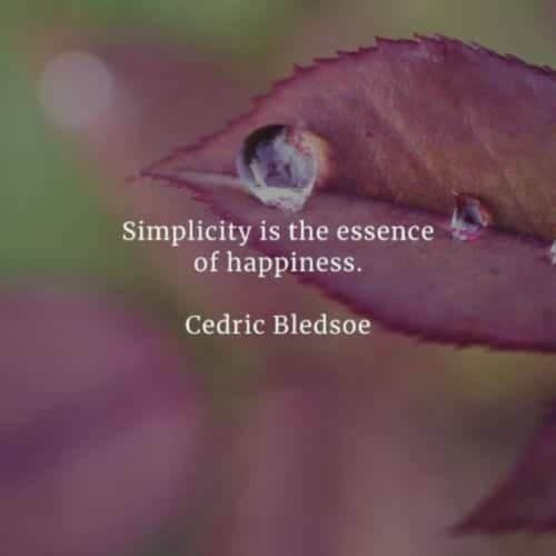 75 Inspiring Simple Life Quotes to Help You Declutter